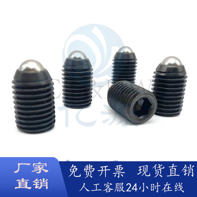 夹紧螺丝球头柱塞C-RSM3/4/5/6/8