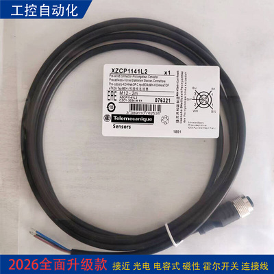 全新XZCP1141L2 XZCP1241L2 XZCP1164L2 XZCP1264L2 L5 L10连接线