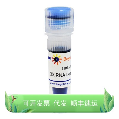 2X RNA Loading Buffer