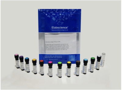 Elabscience® Annexin V-AF488 染色液 E-CK-A137 适用荧光标记