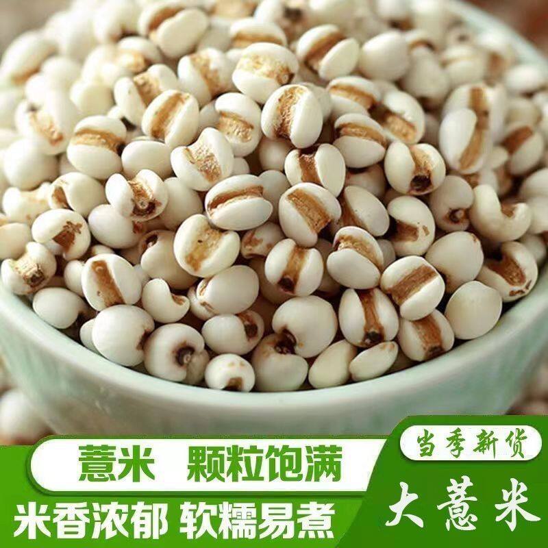 云南新鲜薏米薏仁米新货软糯香甜农家赤小豆红豆五谷杂粮优质粗粮