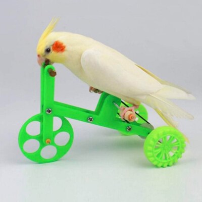 Funny Parrot Bike Toy Birds Training Plaything Supplies Educ