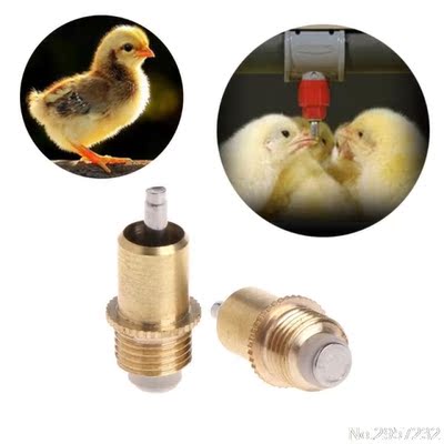 5 Pcs Poultry Chicken Rabbit Automatic Water Drinking Screw