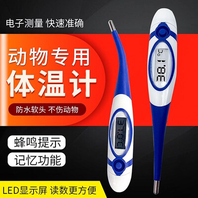 Farm animals with electronic thermometer pigs with