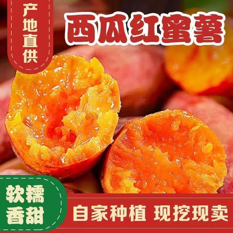 正宗蜜薯西瓜红蜜薯红心地瓜沙地批发新鲜番薯山芋红心沙地板栗