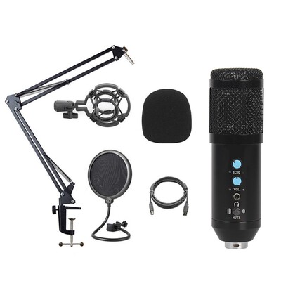 Home Studio recording equipment condenser microphone mic ki