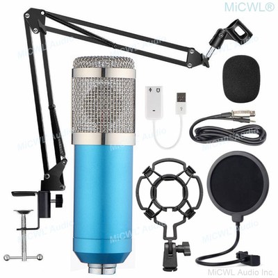 Professional Studio Recording Live Karaoke PC Sing Micropho