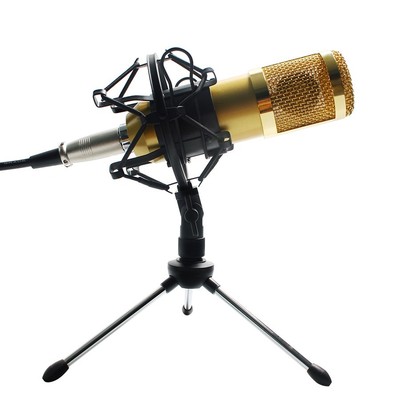 BM800 Condenser Microphone Sound Recording Karaoke Mikrofon