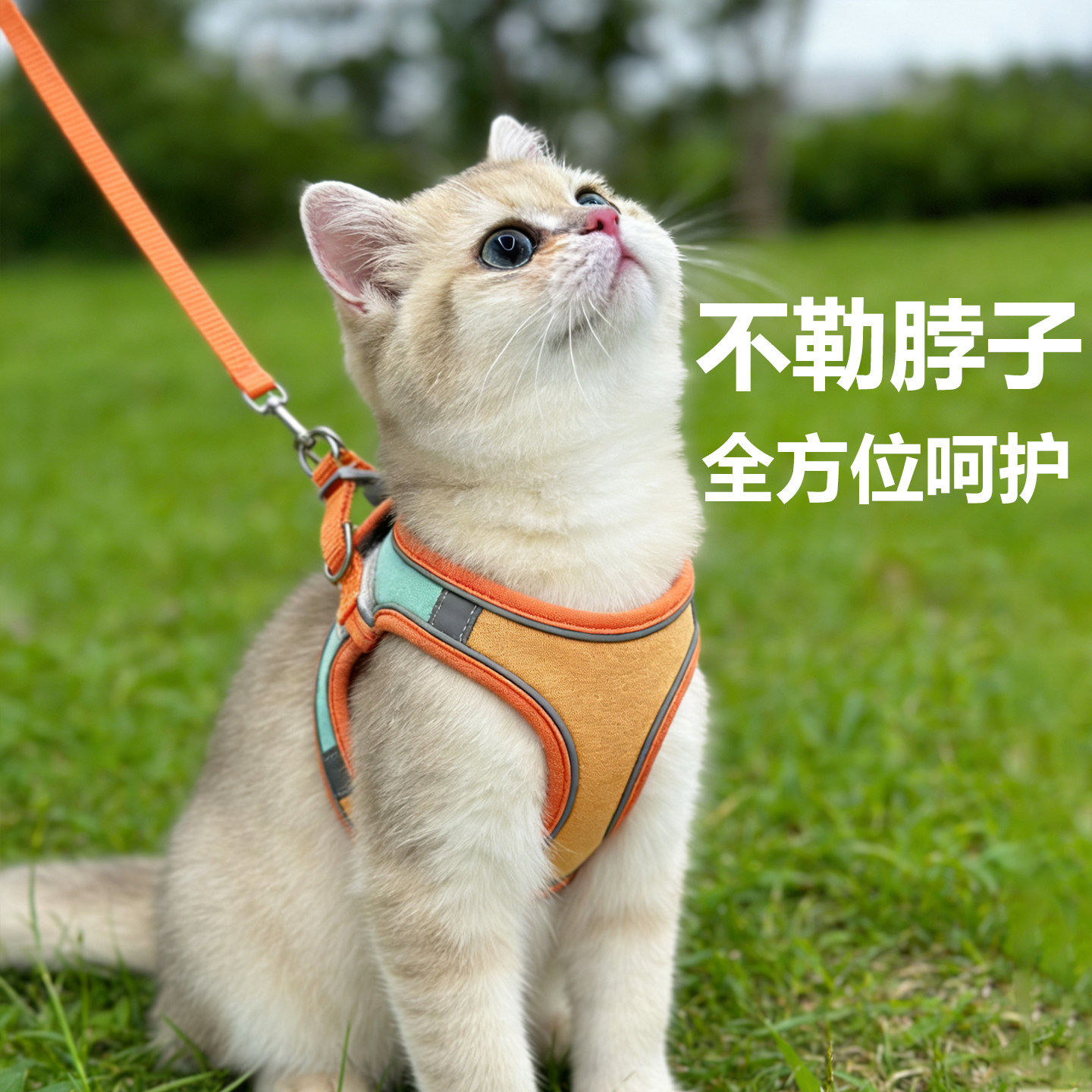 猫咪牵引绳防挣脱不勒脖遛小猫专用胸抱婴袋背心式溜幼猫绳子可调