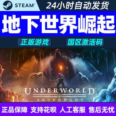 Steam地下世界崛起国区激活码CDK