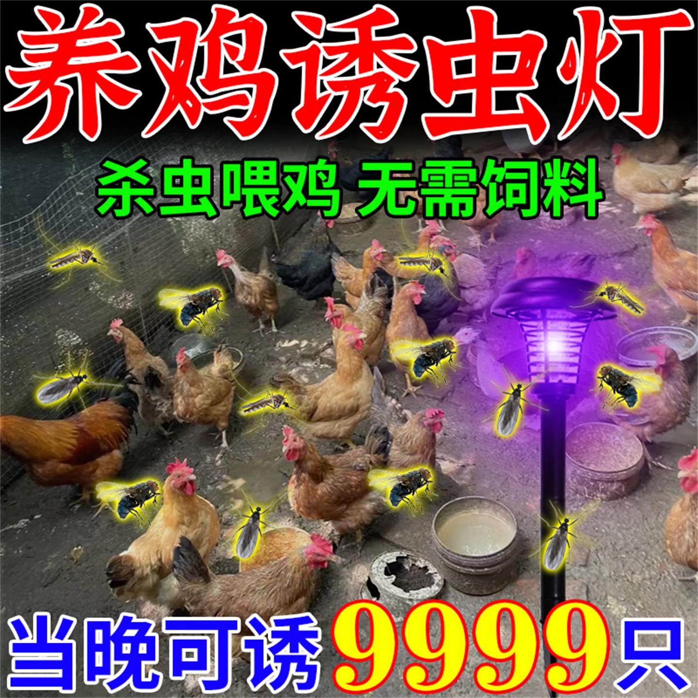 养鸡诱虫灯鸡舍养殖场专用太阳能诱虫灯喂鸡神器户外灭蚊蝇小飞虫