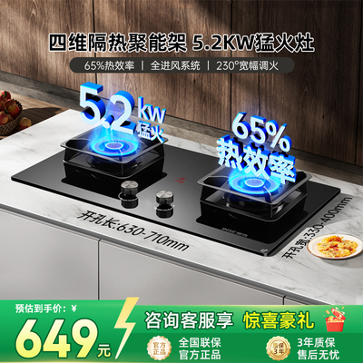 樱雪Q2586燃气灶煤气灶家用双灶天然气燃气灶猛火液化气嵌入灶44