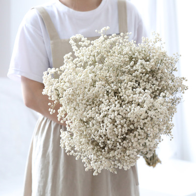 Natural Dried Preserved Flowers Gypsophila Paniculata Baby's