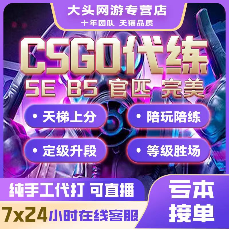 CSGO代练5E天梯上分陪玩陪练定级赛官区段位肝等级代打完美世界B5 - 价格9