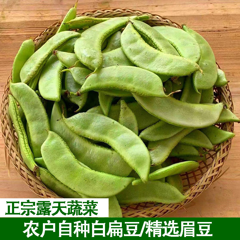 新鲜农家自种月儿菜扁豆白扁豆青豆角扁豆荚嫩眉豆现摘露天娥眉豆