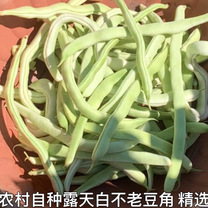 湖北新鲜蔬菜白豆角芸豆四季豆老来少豆角白不老眉豆白扁豆5斤