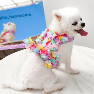 小中型犬狗狗猫宠物服胸背带咪牵引迪泰春AL-65094夏秋衣遛狗绳户