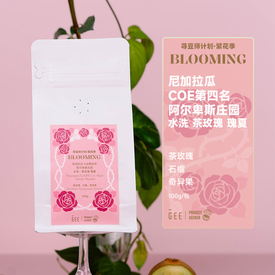 GEE咖啡寻豆师尼加拉瓜COE第四名水洗茶玫瑰瑰夏咖啡豆100g/包