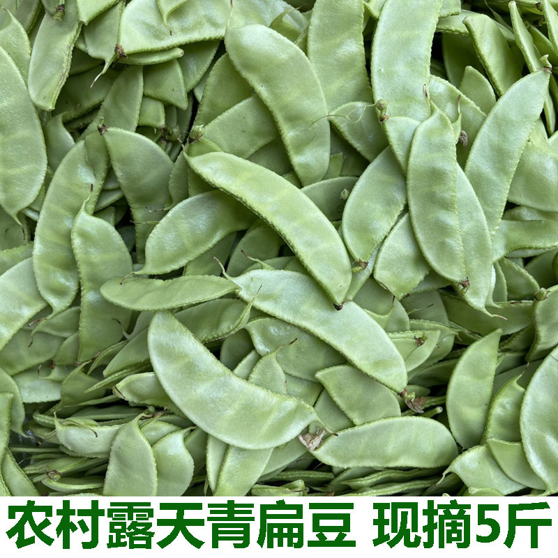 扁豆角新鲜蔬菜农家自种月儿菜扁豆眉豆白扁豆青豆角扁豆荚嫩包邮