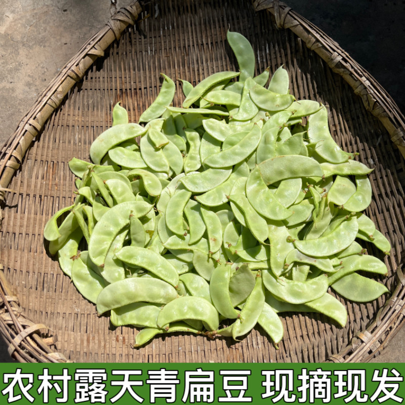 扁豆角新鲜蔬菜农家自种月儿菜扁豆眉豆白扁豆青豆角扁豆荚嫩包邮