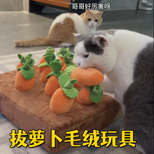 猫咪兔子拔萝卜毛绒玩具宠物玩具红萝卜互动磨牙一体自嗨解闷神器