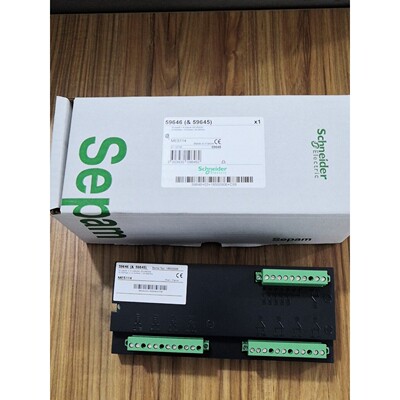 施耐德 59646（&59645）MES114  Sepam MES114F原装请询价