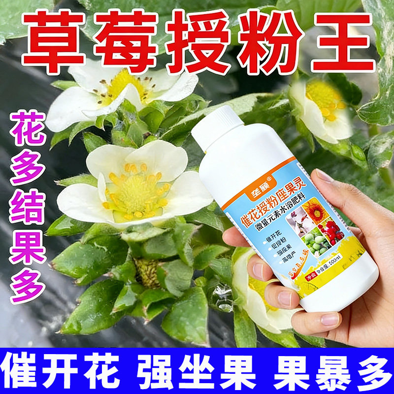 草莓授粉王】催花授粉座果神器代替蜜蜂催花芽分化花多果多免人工