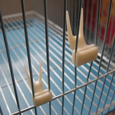 Birds Parrots Fruit 适用于k Feeder Pet Supplies Food Holder