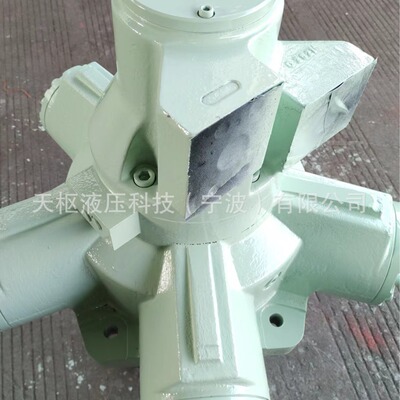 STFD200-3100-1000-T75-F02-L01B-C|锚绞机液压马达|全新国产