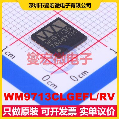 WM9713CLGEFL/RV QFN-48-EP(7x7) 音频接口芯片IC