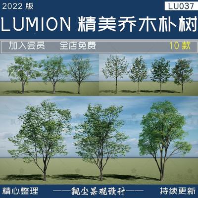 LUMION8/9/10/11/12乔木植物精美丛生朴树榉树lumion造型植物素材