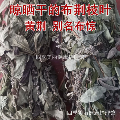 黄荆枝叶晒干 黄荆条 黄荆子 布荆 荆条牡荆布惊草不惊布荆草埔姜