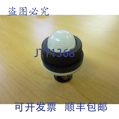 原装供应DR30D0L 白色指示灯 30V 1W 11186