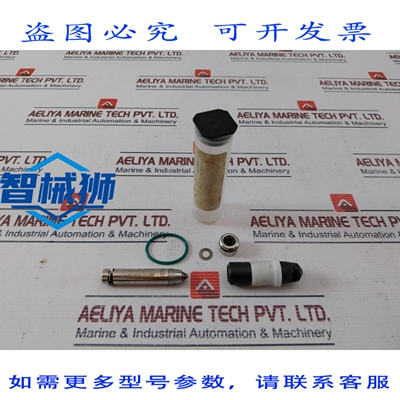 原装供应 TN-500 喷嘴 66.0115.20.035 250 PSI