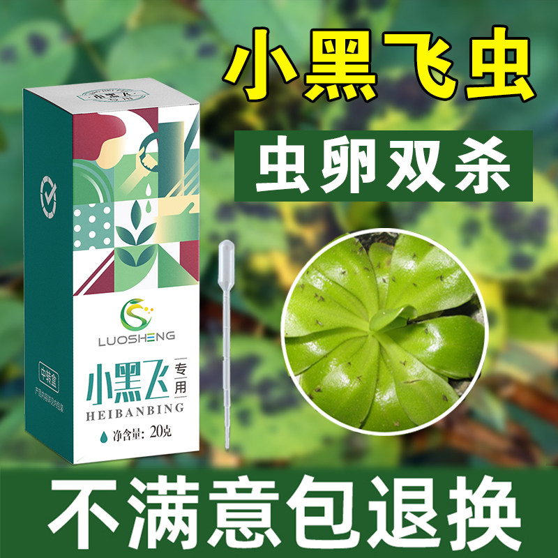 飞虫专用药花卉绿植杀虫药防虫杀虫小黑飞小飞虫蚜虫白粉虱红蜘蛛