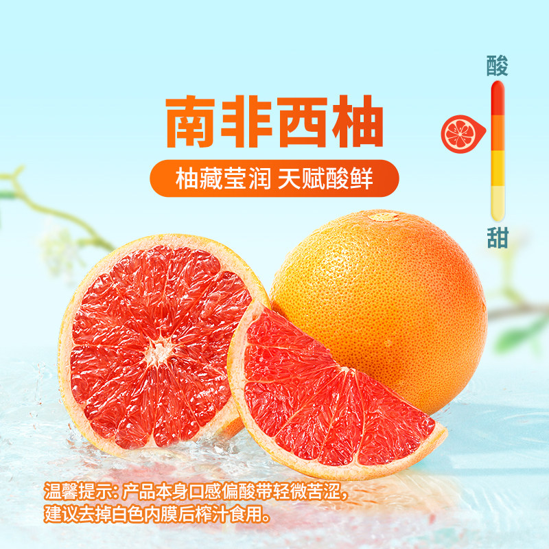 东方甄选南非西柚进口红心柚子葡萄柚当季新鲜水果时令顺丰6粒装