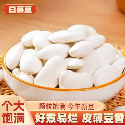白芸豆官方旗舰店正品云南大白豆白云豆新货大雪豆扁豆新鲜腰豆子