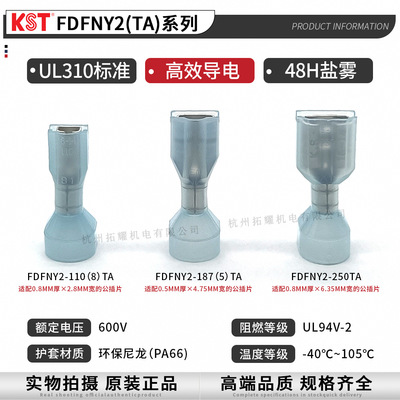 KST健和兴FDFNY2-110(5)TA/2-187(8)TA/2-250TA 尾部加大插簧端子