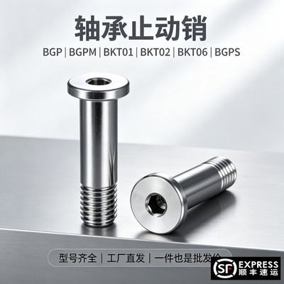 止动销BKT01BKT02BKT06BGP