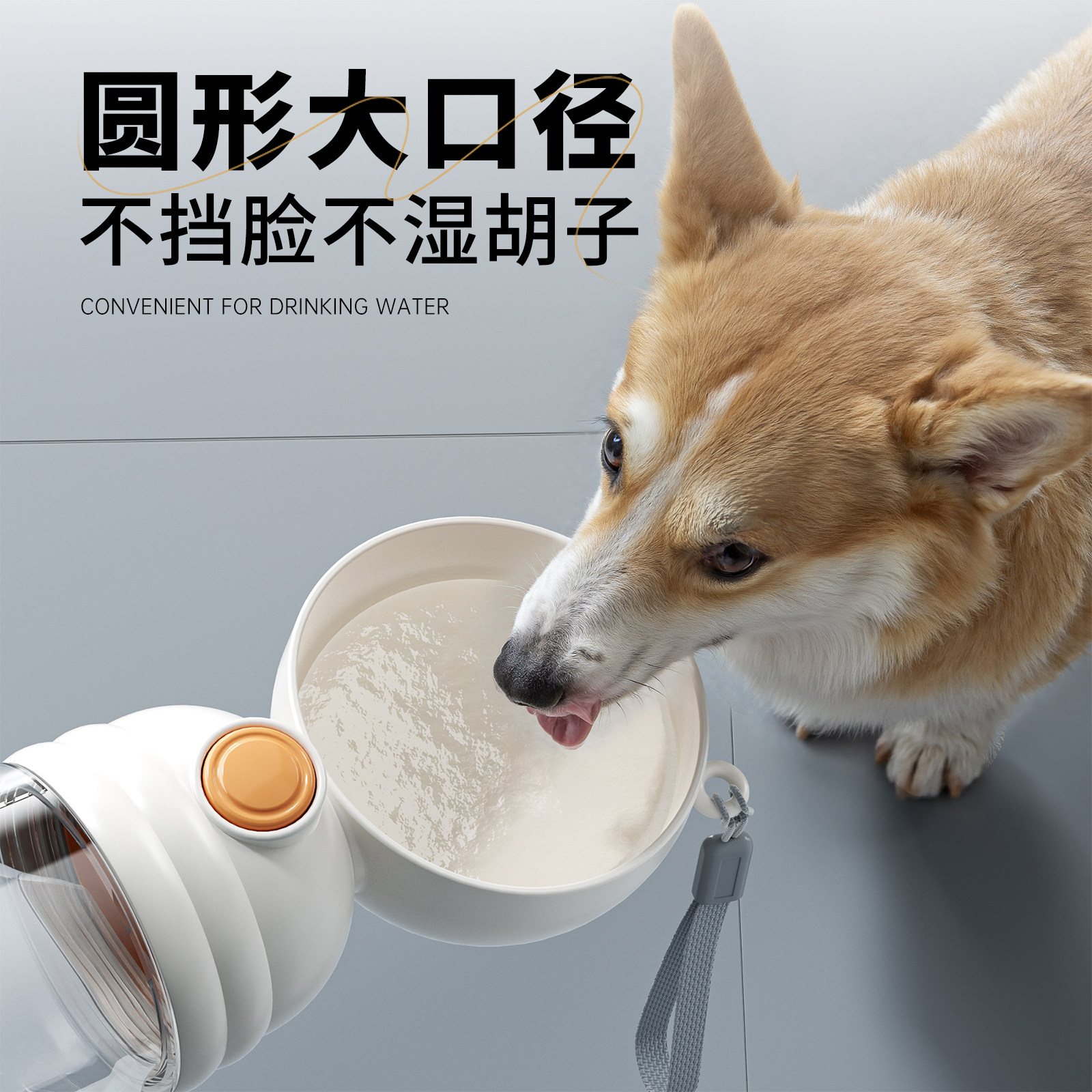 宠物外出水杯狗水壶便携式随行杯饮水器遛狗喝水器水粮杯