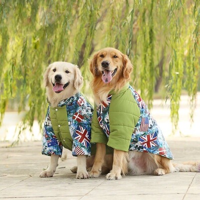 金毛拉布拉多大狗狗衣服厚秋冬装