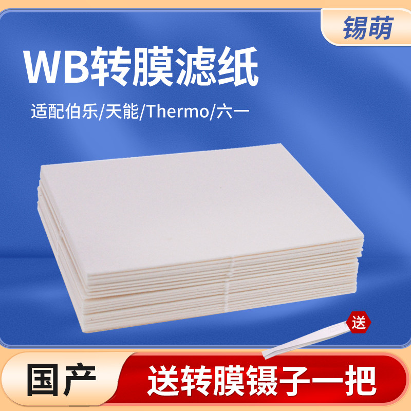 WB转印滤纸Western blot湿转转膜滤纸适用伯乐/天能/Thermo/六一