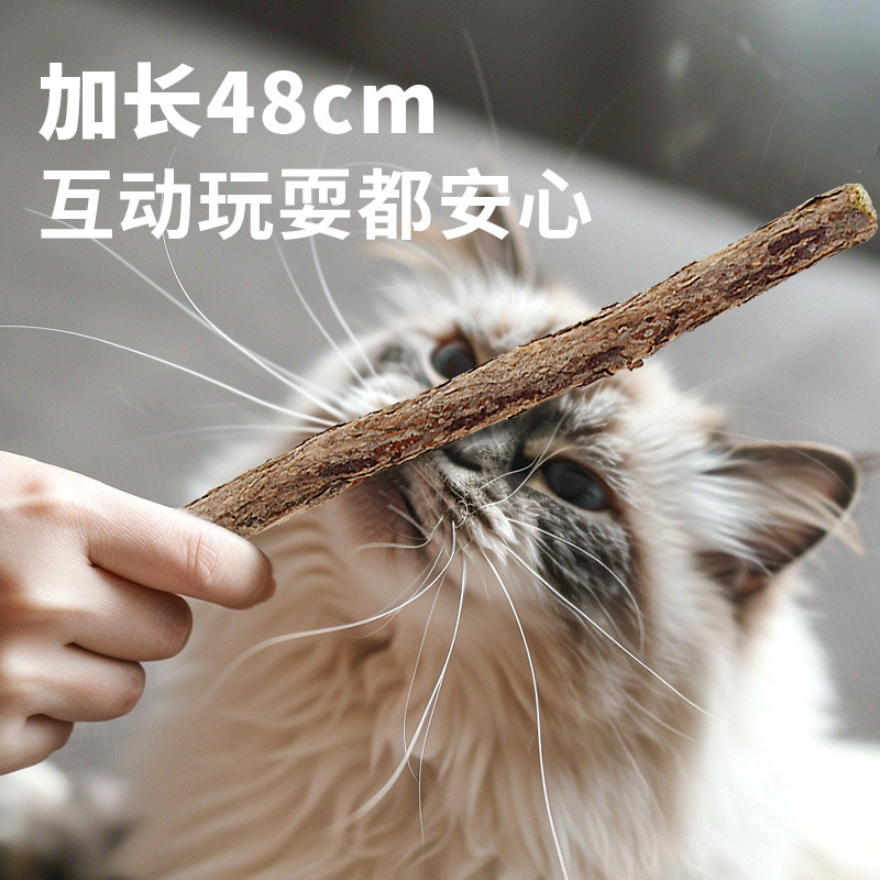 超长48cm长杆木天蓼磨牙棒自嗨解闷磨牙逗猫棒玩具猫薄荷猫咪零食
