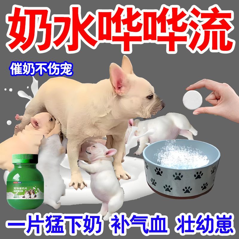 宠物催奶片猫狗下奶催奶片催乳猫犬开奶催奶狗犬用催奶高钙营养品