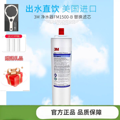 进口替换滤芯精滤芯3M
