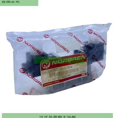 Norgren SXE0573-Z60-81/89N 5/2 路阀 WV-Bist Iso1 240VAC 8伏