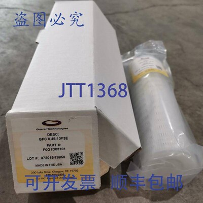 原装供应Graver F0G1D03101 过滤器 GFC 0.45-10P3E