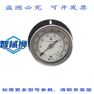 原装供应 WEKSLER AA1 0-1000PSI NSNP