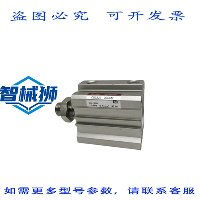 原装供应 CQ2B32-30DCM NSNP