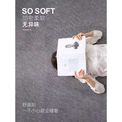 地毯绒高级轻奢加厚面积家用FSS满铺纯色毛绒加可大剪短裁密水洗